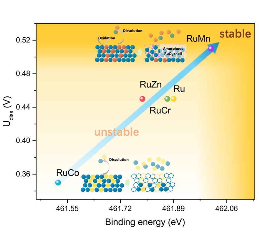 新闻动态 - 燃料电池研究所